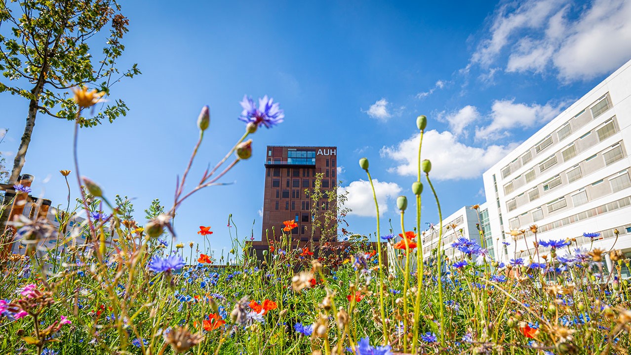 About the Hospital - Aarhus Universitetshospital